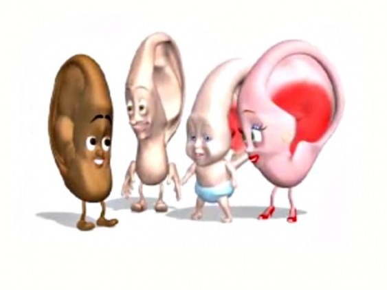 Portfolio Col 2 | The Bosworth Group