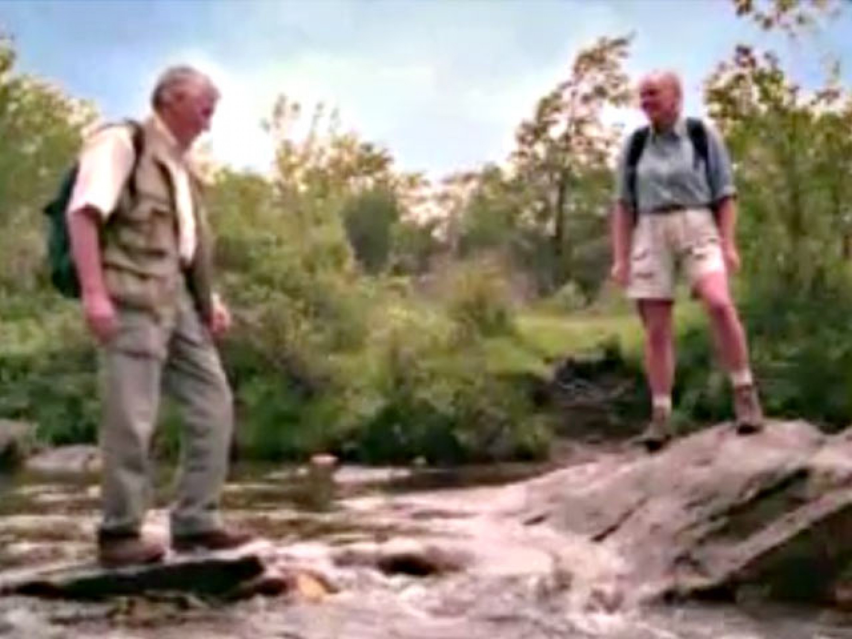 Portfolio Col 2 | The Bosworth Group